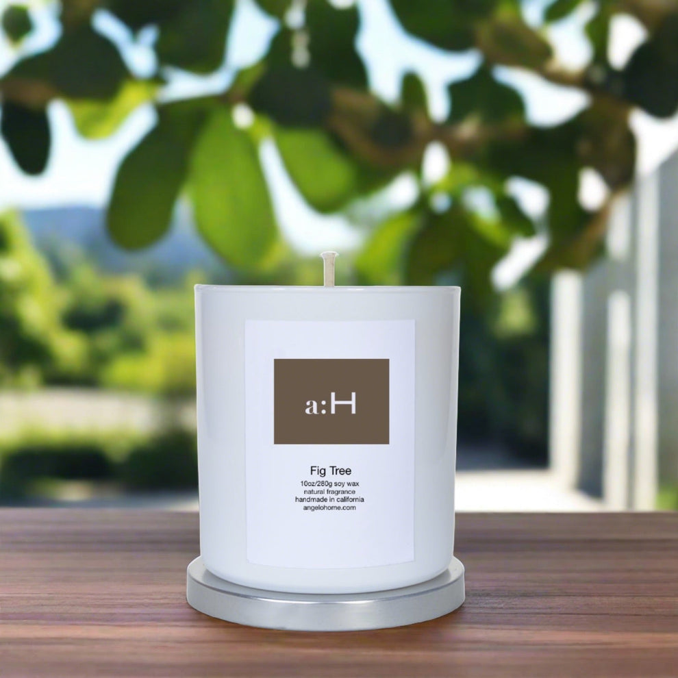 Fig Tree Luxury Candle & Home Fragrance | Apricot Wax Candle – angelo:HOME